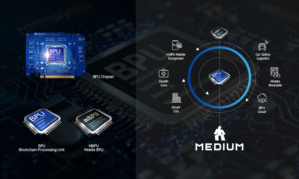 프로비트 거래소, 미디움(MDM) 상장...IEO 40분만에 완판, 3억5000만원 판매
