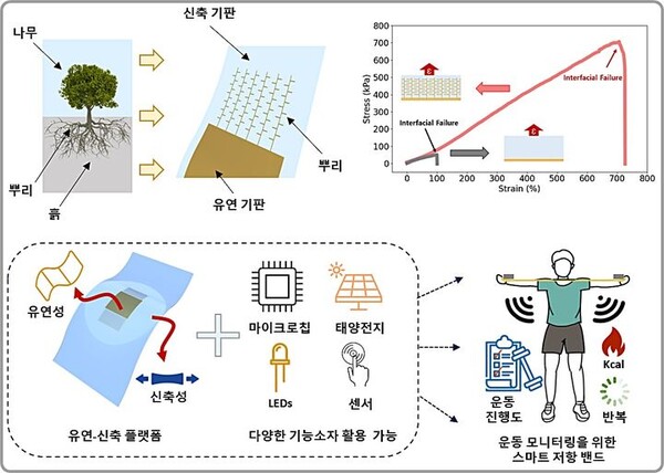 KAIST, 나무뿌리 모방해 쭉쭉 늘어나는 전자기판 개발