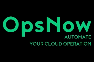 베스핀글로벌, 신규 서비스 ‘OpsNow Governance’ 출시